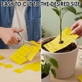 100 Sticky Trap for Gnats 3 x 5'' Dual Side Sticky Fruit Fly Trap with ...