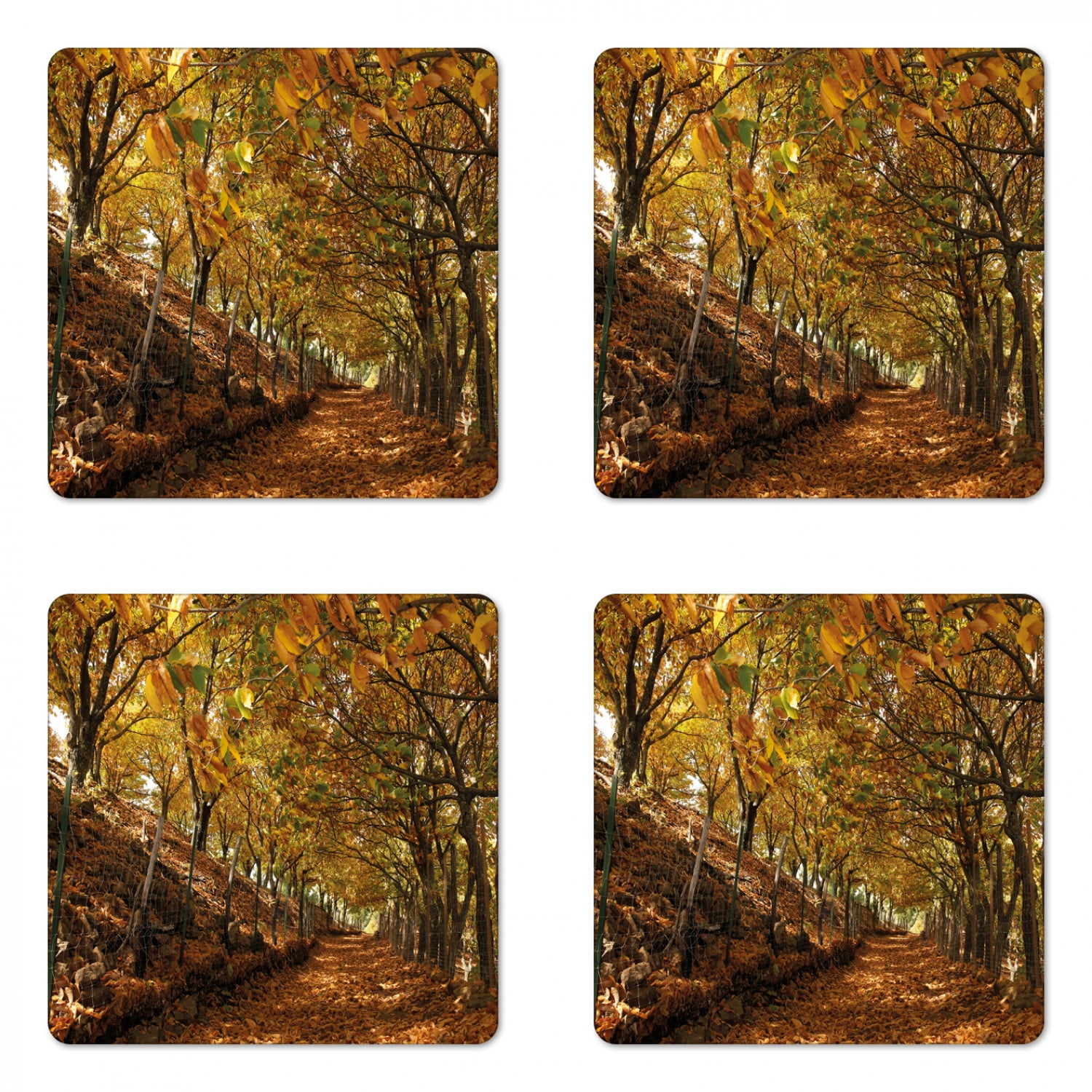 Nature Coaster Set of 4, Autumn Foliage Forest with Deciduous Trees ...