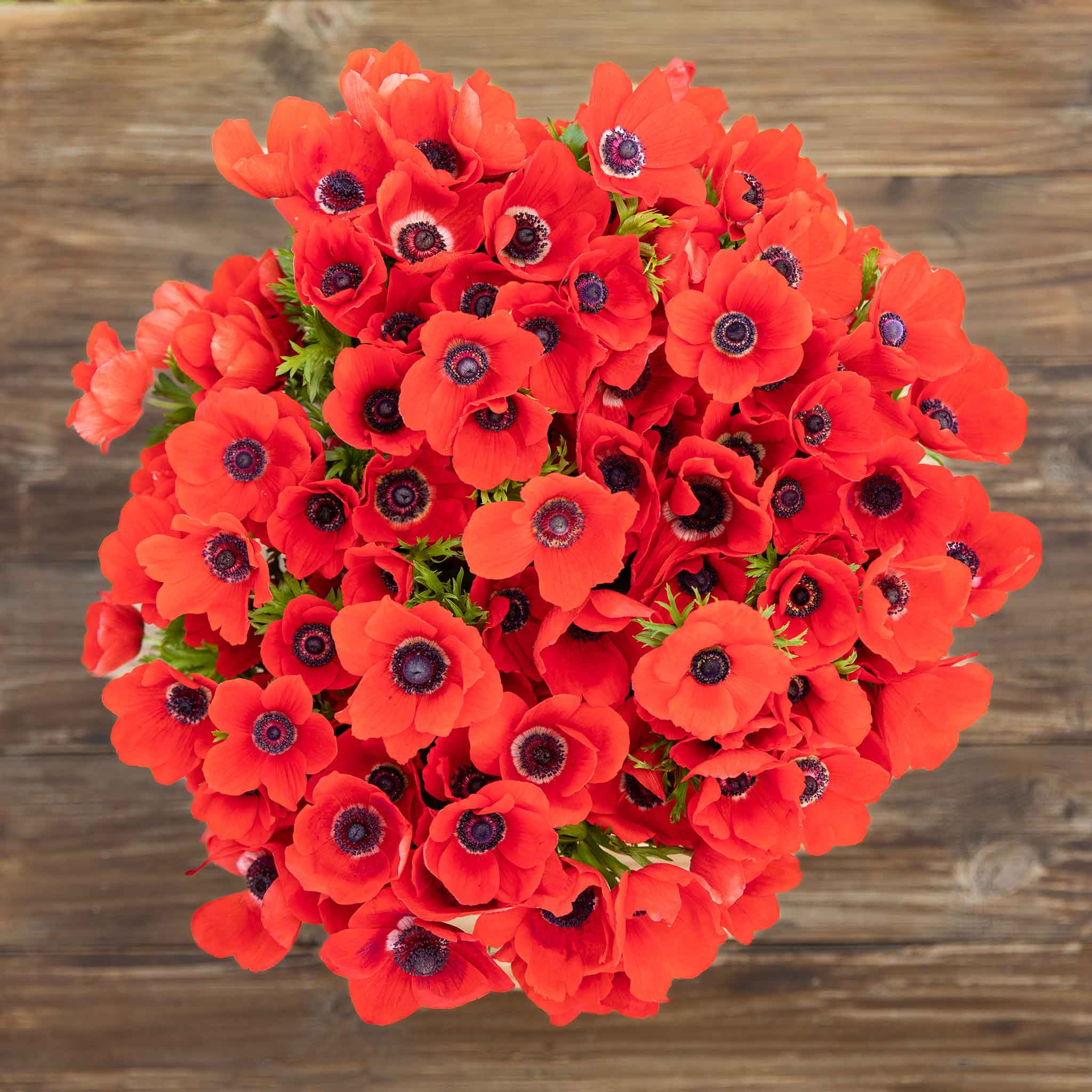 Red Anemone Bouquet
