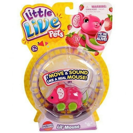 Little Live Pets Lil' Mouse - Pippeez - Walmart.ca