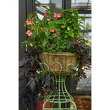 SMART POT No Coco Liner 16" - Forest Green - Walmart.com