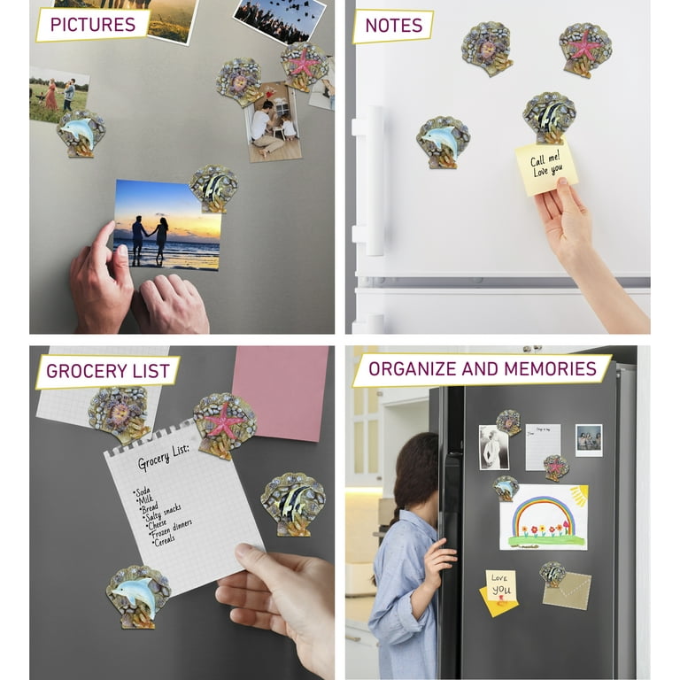 Bulletin Board Ideas Sea Shell