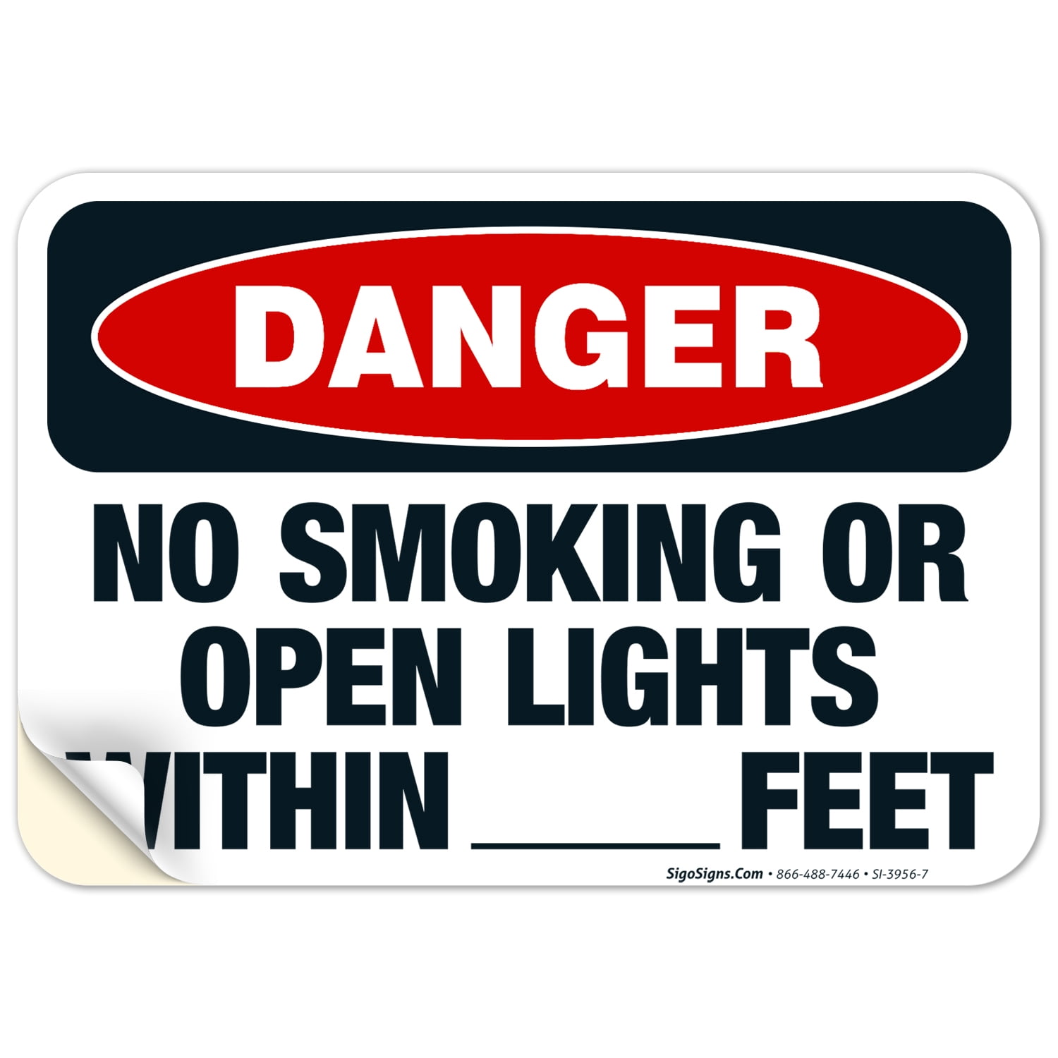 Danger No Smoking Or Open Lights Within Feet Sign, OSHA Danger Sign ...