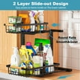 Stainless Steel Under Sink Organizer: FOUKUS 2 Tier Pull Out Cabinet ...