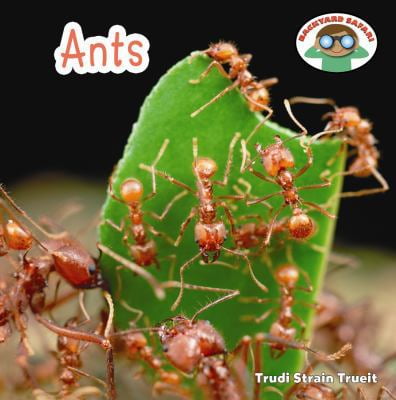 Pre-Owned Ants (Library Binding) 1608702405 9781608702404 - Walmart.com
