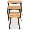 Hollie Mid-Century Modern Rectangular Wood Nesting Tables in Walnut ...