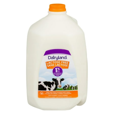 Dairyland Lactose free 1% Partly Skimmed Milk | Walmart Canada