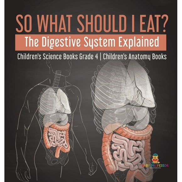 Digestive System Anatomy