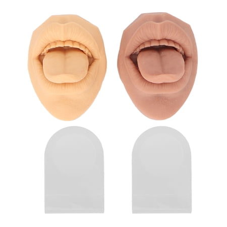 Tongue Mouth Model, Mouth Model Simulated Reusable 3D Portable Practice ...