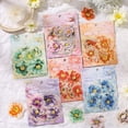 Art Crafts Card Making Scrapbook Sticker Decorative Scrapbooking ...