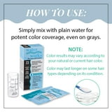Water Works Permanent Powder Hair Color #23 Natural Dark Brown (6 Pack ...