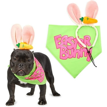 Bunny Rabbit Costume for Pets - Walmart.com