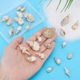 24Pcs 6 Styles Electroplated Natural Spiral Shell Pendants Shell Shape ...