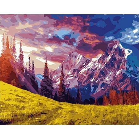 DIY Paint by Numbers Ca Painting Kit for Kids & Adults, 50.8 x 40.6 cm ...