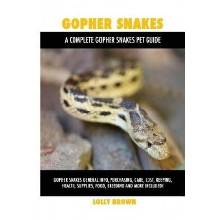 Gopher Snakes: Gopher Snakes General Info, Purchasing, Care, Cost ...