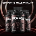 Horsewood for Men Capsules – Horse Wood Advanced Formula Natural ...