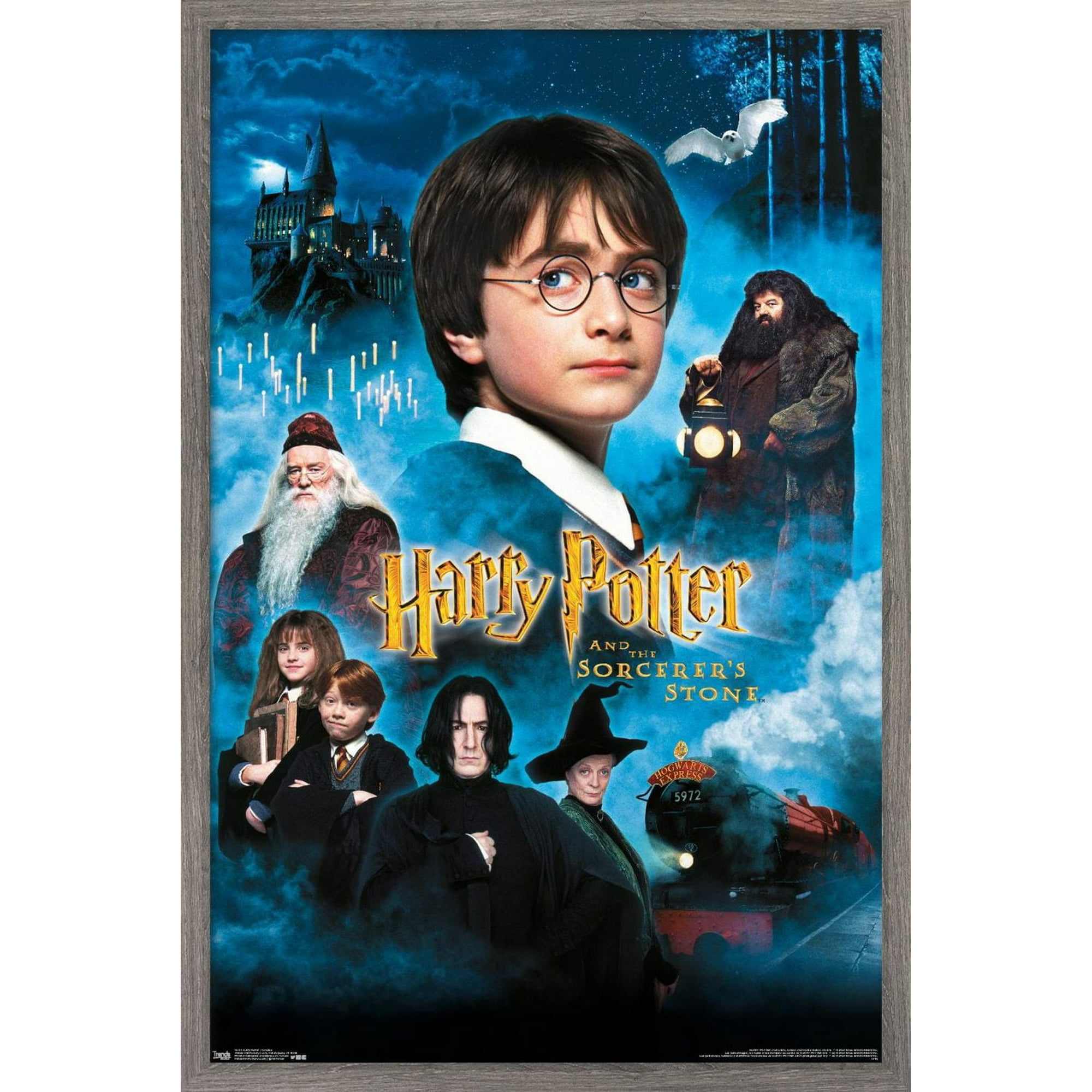 Click here for Trends International Harry Potter And The Sorcerer... prices