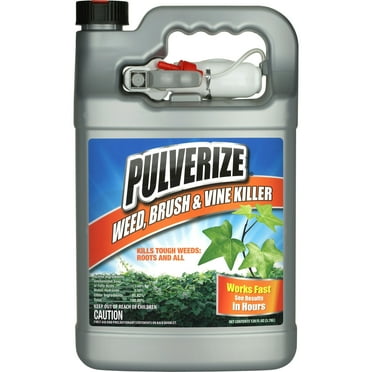 Southern Ag Brush Killer Liquid Herbicide, 32 fl oz, Controls Woody ...