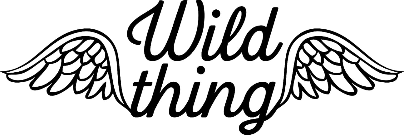 Wild Thing Angel Wings Motorcycle Rider Bike Wall Decals for Walls Peel ...
