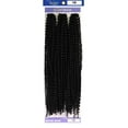 QueenB Braid 3X Water Wave Value Pack - #1B - Walmart Business Supplies
