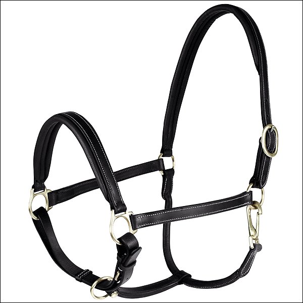 Cob Horze Horse Soft Leather Double Stitched Largo Halter Neck Straps ...