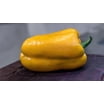 Orange Carolina Reaper HP22B Pepper Premium Seeds Packet - Record ...