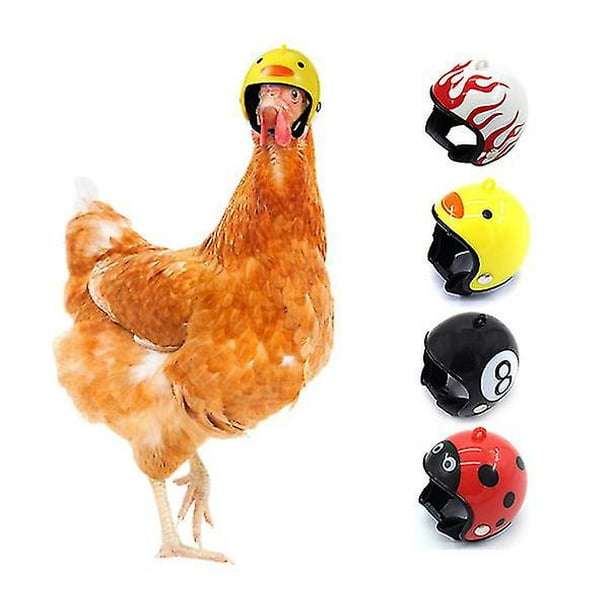 4 Pieces Hens Helmet Chicken Helmet Funny Parrot Helmet Chicken Bird ...