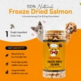 Chef Kitty Salmon Freeze Dried Treats for Cats and Dogs, 1.4 oz ...