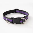 Bright Purple Reflective Dog Collar for Small Dogs – Adjustable Quick ...