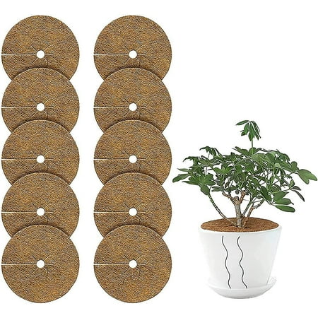 Plant Protection Disc 10pcs Coir Plant Mats.coconut Mulch Disc 100% ...
