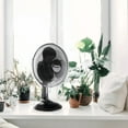 Impress 12 inch 3 Speed Oscillating Table Fan in Black - Walmart.com