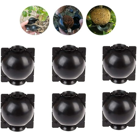 6 Pack Plant Root Growing Ball Plant Rooting Device Assisted Cutting ...