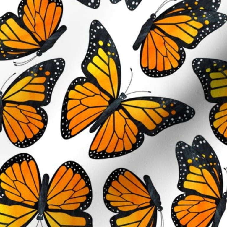 Monarch Butterfly Pattern