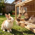 Ailezt Mice Wooden Chew Toys,Small Squirrels And Mice Grind Teeth And ...