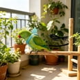 Parrot Bird Harness Leash,Outdoor Flying Traction Straps Band for ...