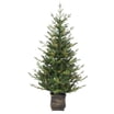 Haute Decor 5 Foot Pre-Lit Timberland Fir Potted Christmas Tree ...