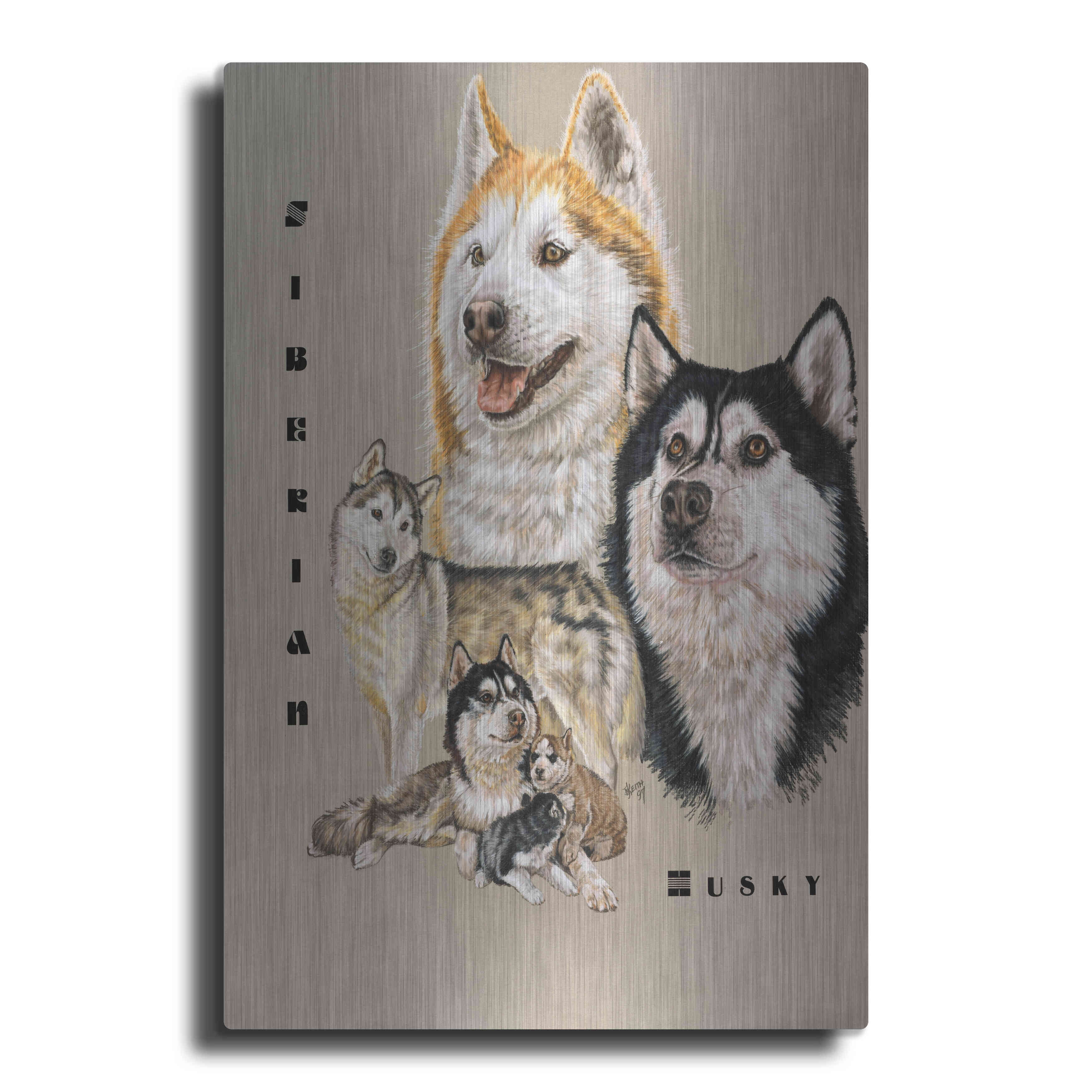 Luxe Metal Art 'Siberian Husky' by Barbara Keith, Metal Wall Art, 12 ...