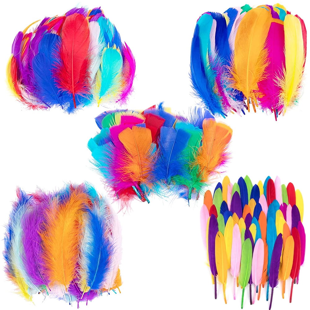 Click here for Mfg2020 Colorful Feathers 300 Pieces Feather For C... prices