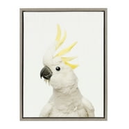 Kate and Laurel Sylvie Raccoon Portrait Framed Canvas Wall Art by Amy ...