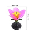 1Piece Enlarged Plastic Peach Flower Model For Middle School Biology ...