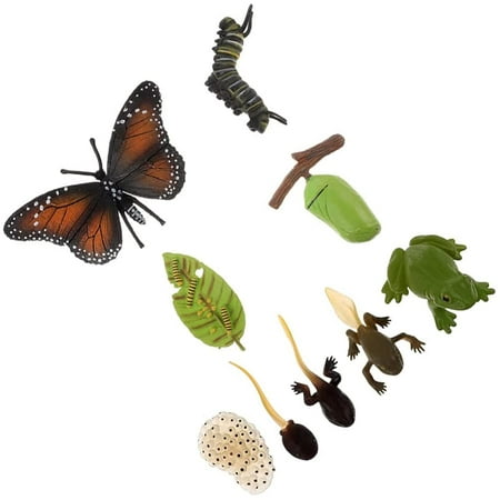 2 Sets Life Cycle Figurines of Butterflies and Frogs Insect Figurines ...