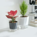 Honrane Self-Watering Flower Pot with Breathable Holes and Visible ...