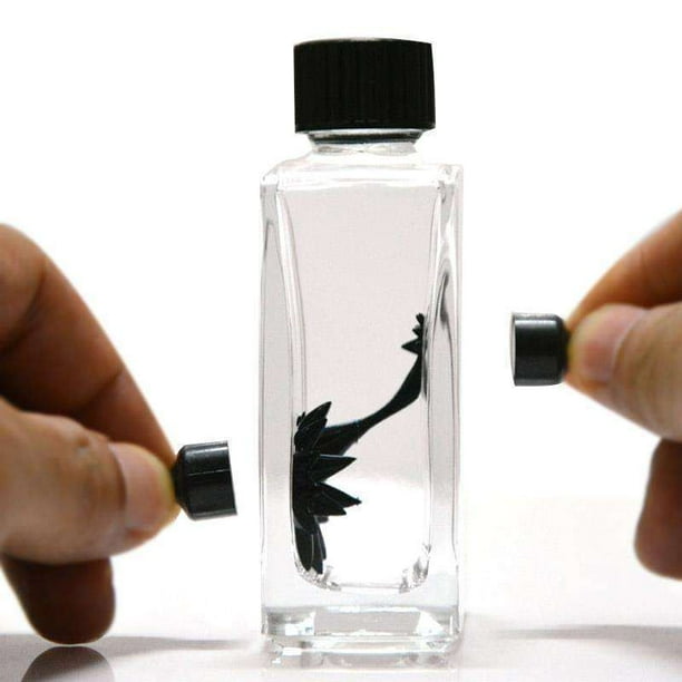 Bottle Ferrofluid Magnetic Liquid Display Toy Creative Decompression ...