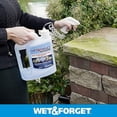 Wet & Forget Outdoor Moss, Mold, Mildew, & Algae Stain Remover Multi ...