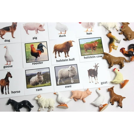 Montessori Animal Match - Miniature Farm Animal Toy Figurines with ...