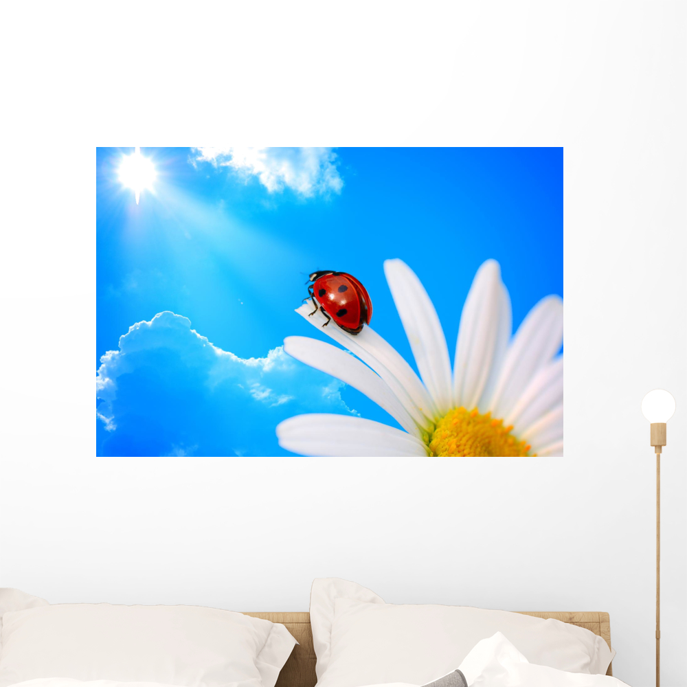 Ladybird Daisy against Blue Wall Mural Decal Sticker, Wallmonkeys Peel ...