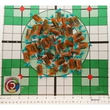 Jolly Rancher MANGO - 8oz Hard Candy, Half Pound Sweets, New Flavor ...