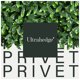 UltraHedge Privet Artificial Hedge 20" x 20" Panel, Medium Leaf 6 Pack ...