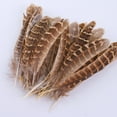 1 Bag Multi Pheasant Plumes for DIY Crafts Home Decor and Wedding ...