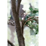 Small Wisteria Tree With 96 Warm White Led - Walmart.com